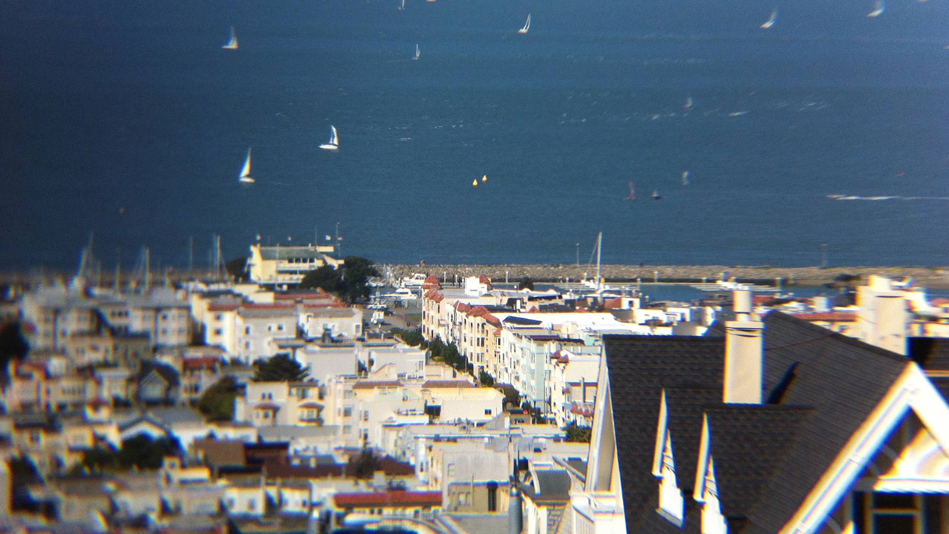 Exploring the new 49 Mile Scenic Route | Jasper San Francisco Apartments