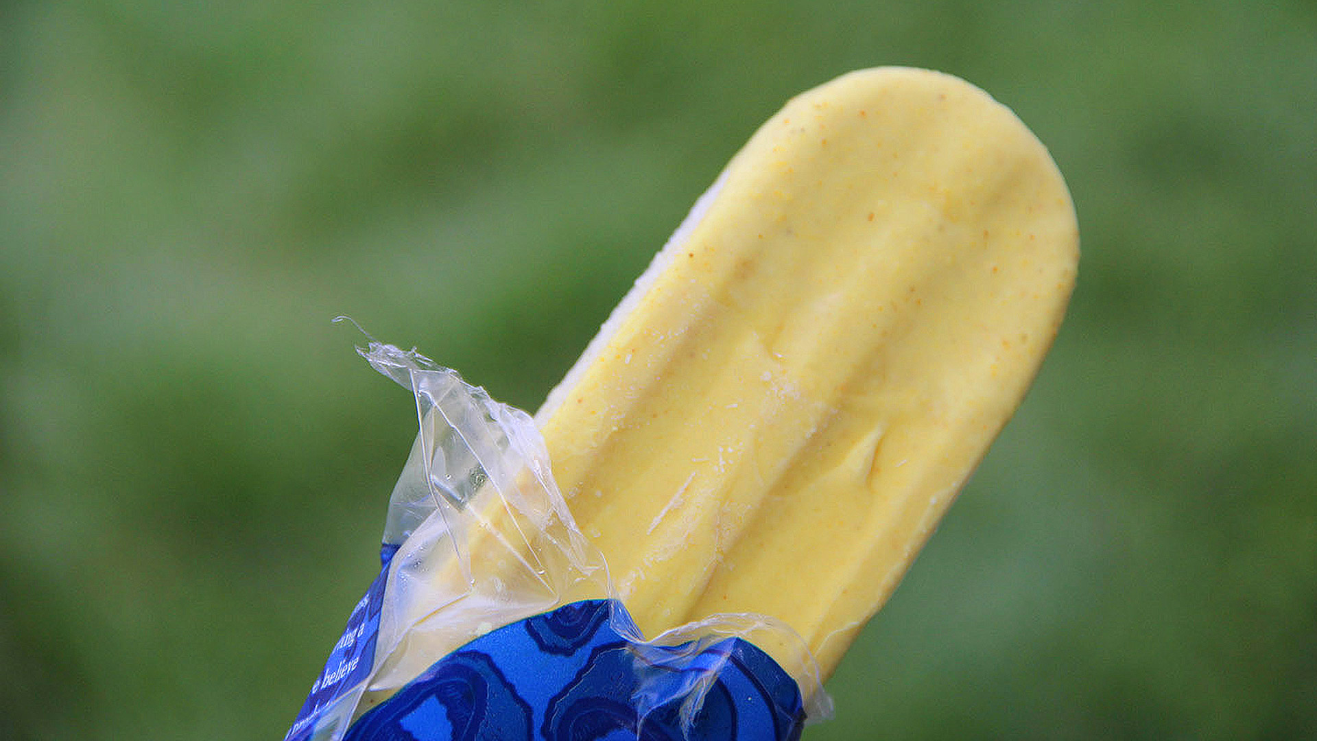 15 Fab Popsicles Made By You | Jasper San Francisco Apartments
